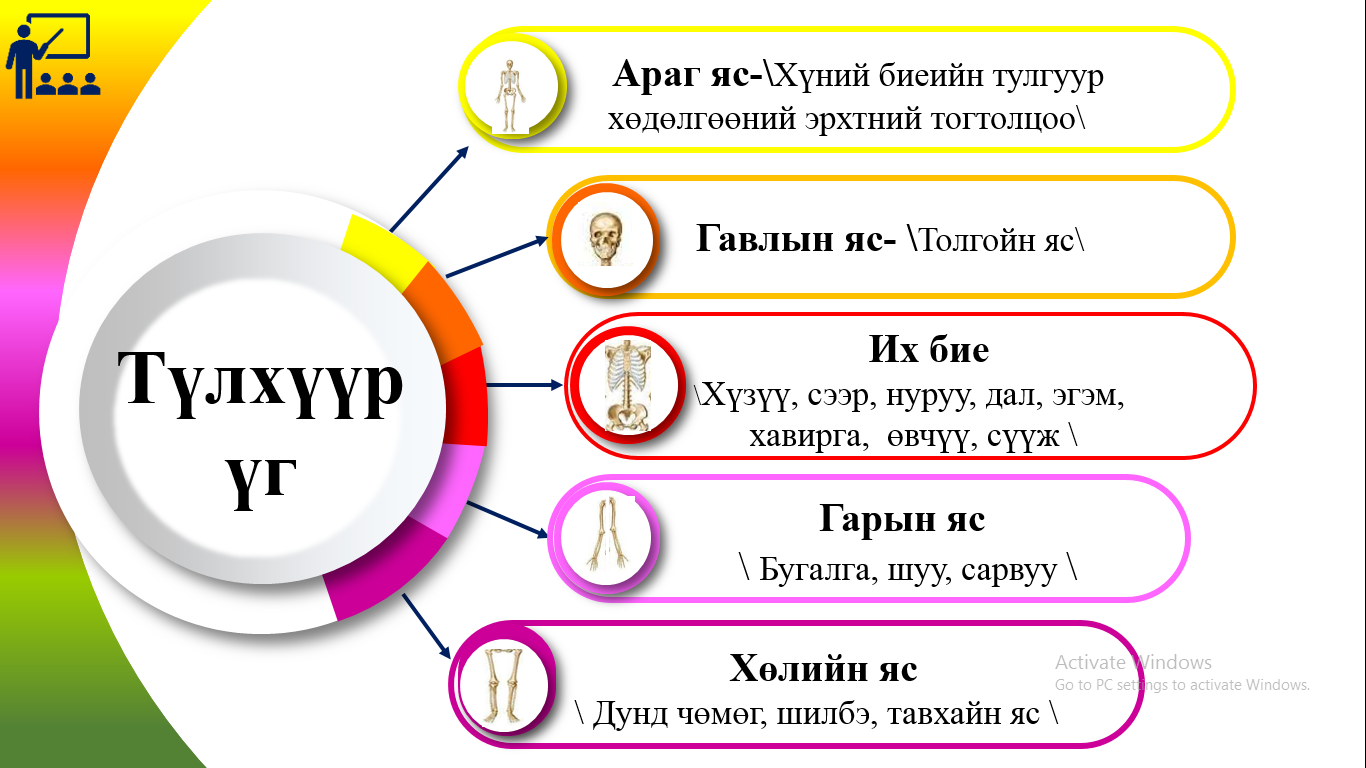 Мэдлээ Цахим контент